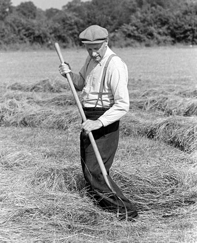 Farming and Associated Activities « Sulgrave Village Website