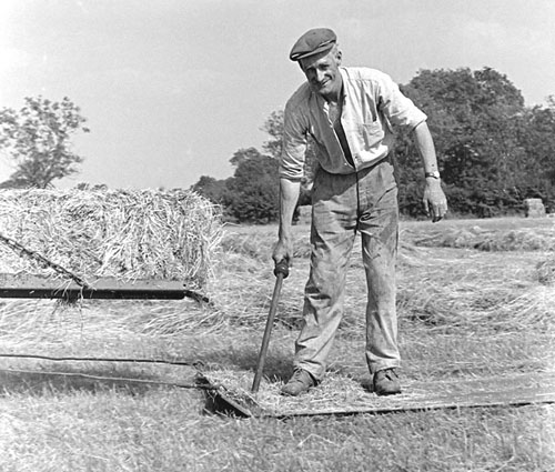Farming and Associated Activities « Sulgrave Village Website